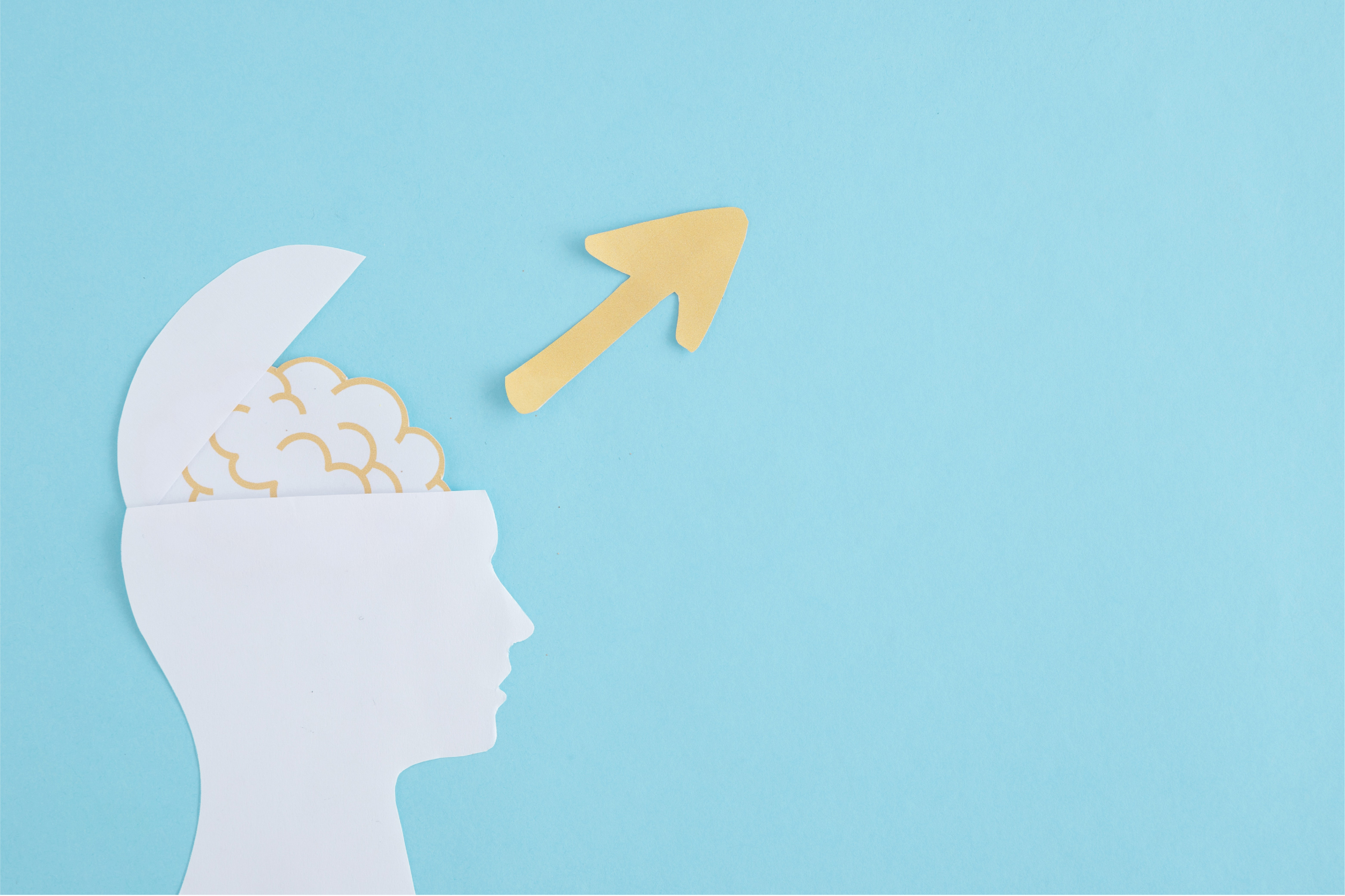 THE MINDSET ACCELERATOR SERIES